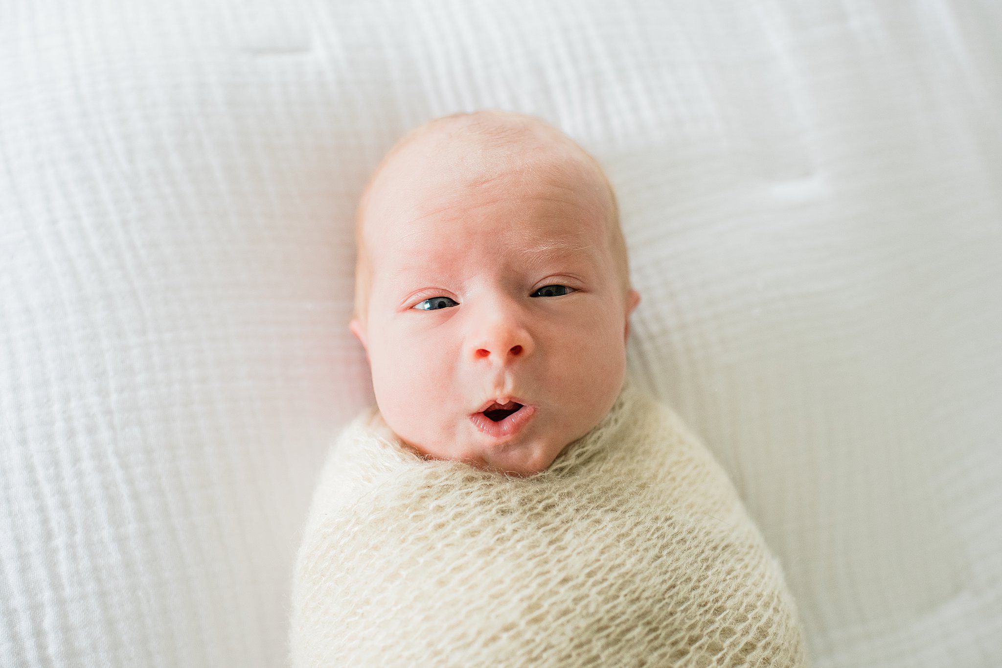 Helena Goessens Photography 28 - Boston Newborn and Family Photographer ...