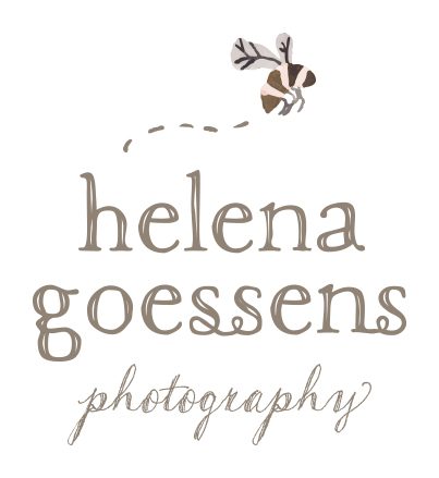 Boston MA Photographer | Families, Newborn, Maternity, Seniors